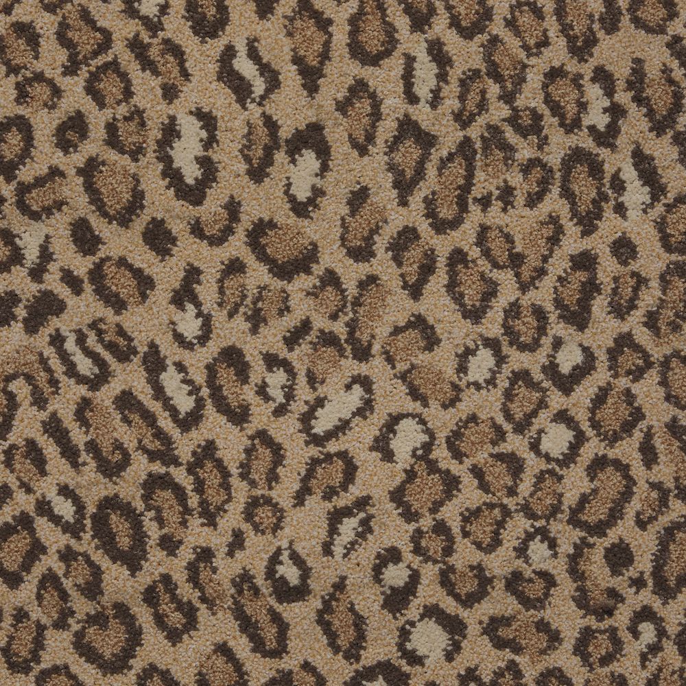 Anne Colle Collection — Kalley