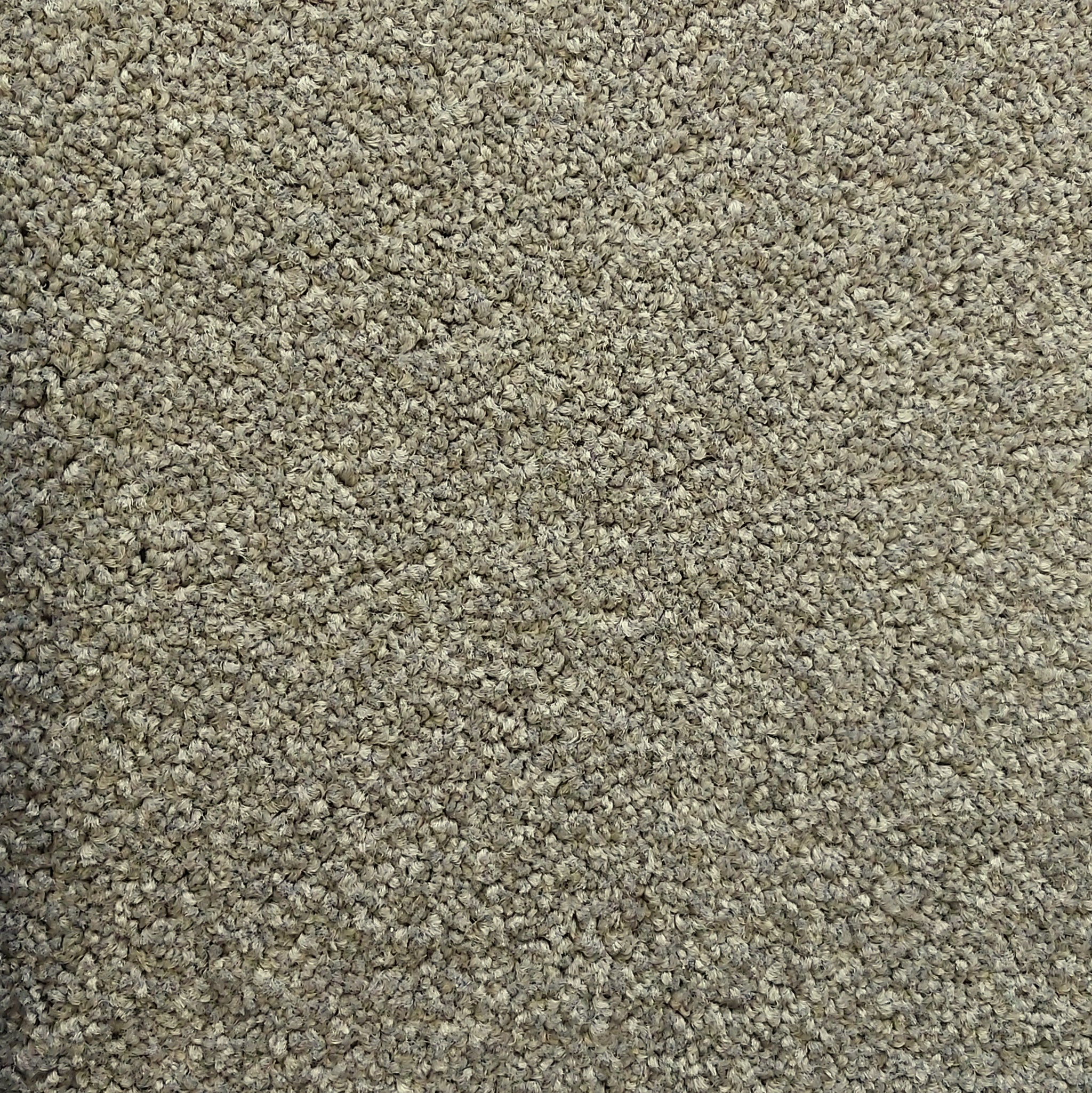 Brand - Carpets - Nouwens — Kalley