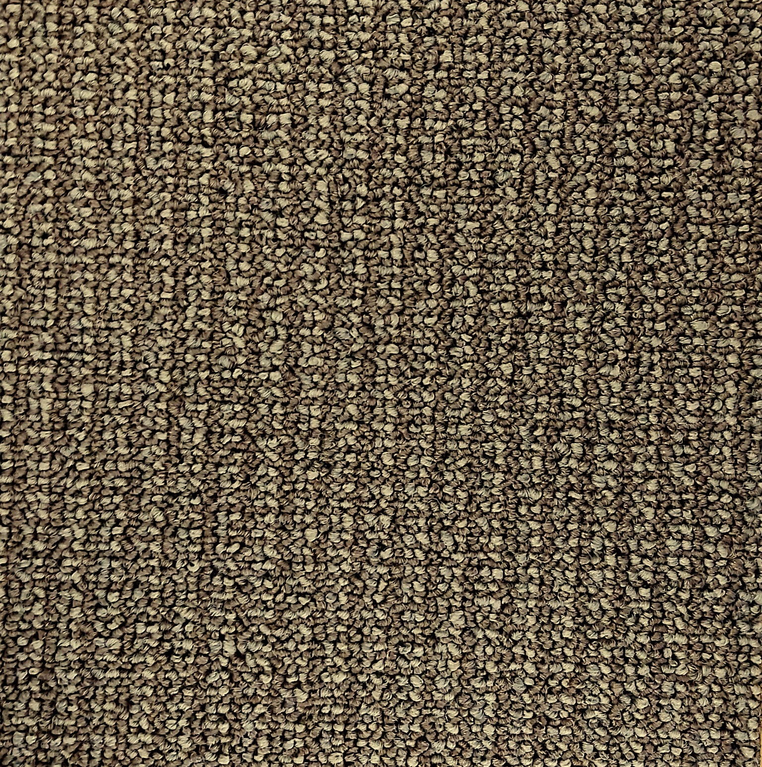 Custom Rugs — Kalley